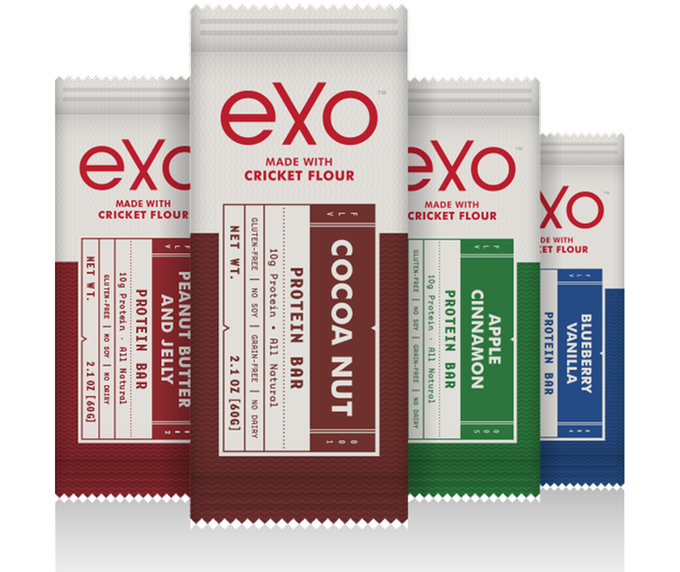 Exo Protein Bar Review