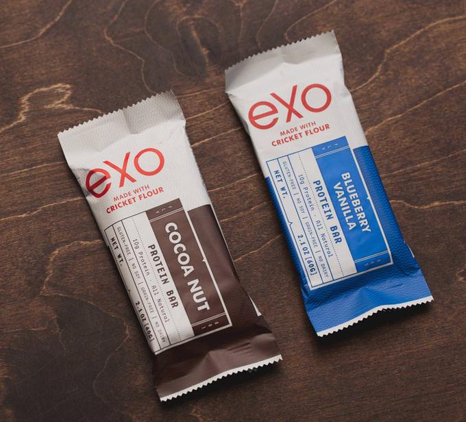 Exo Protein Bar Review