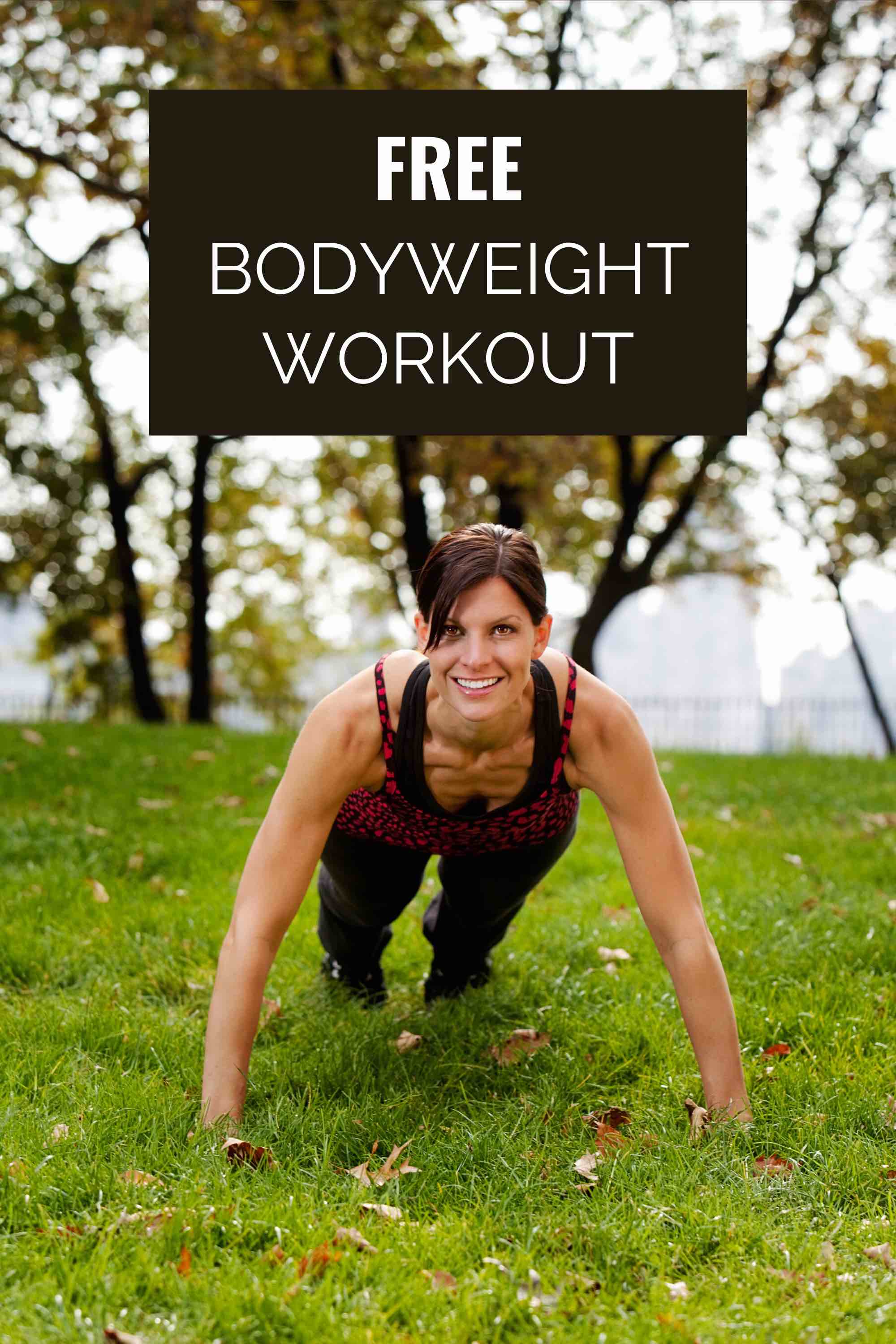 Screen Shot 2019-03-04 at 12.16.55 PM - TrainingBeta